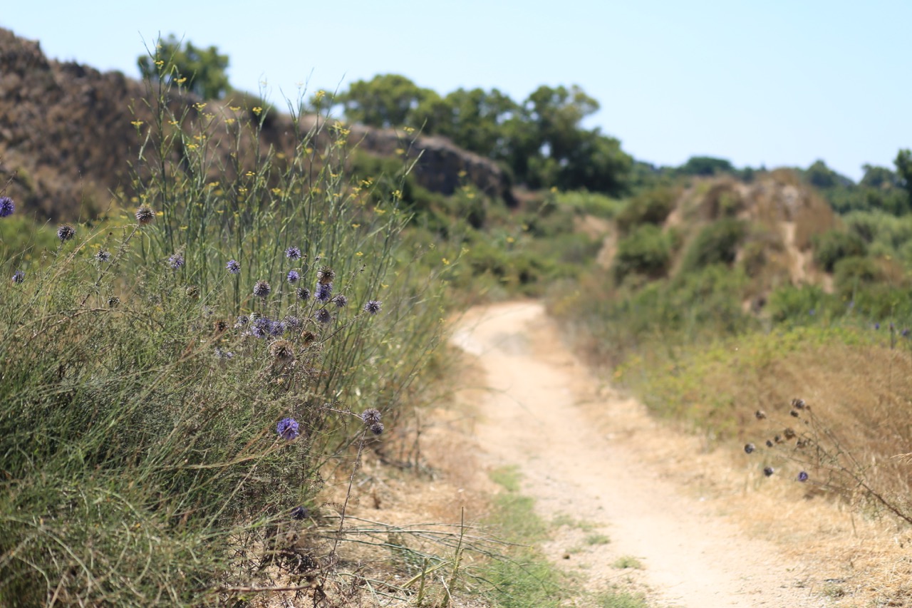 Udim Nature Reserve in Israel | A Tiny Trip