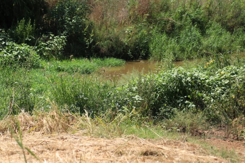 Udim Nature Reserve in Israel | A Tiny Trip